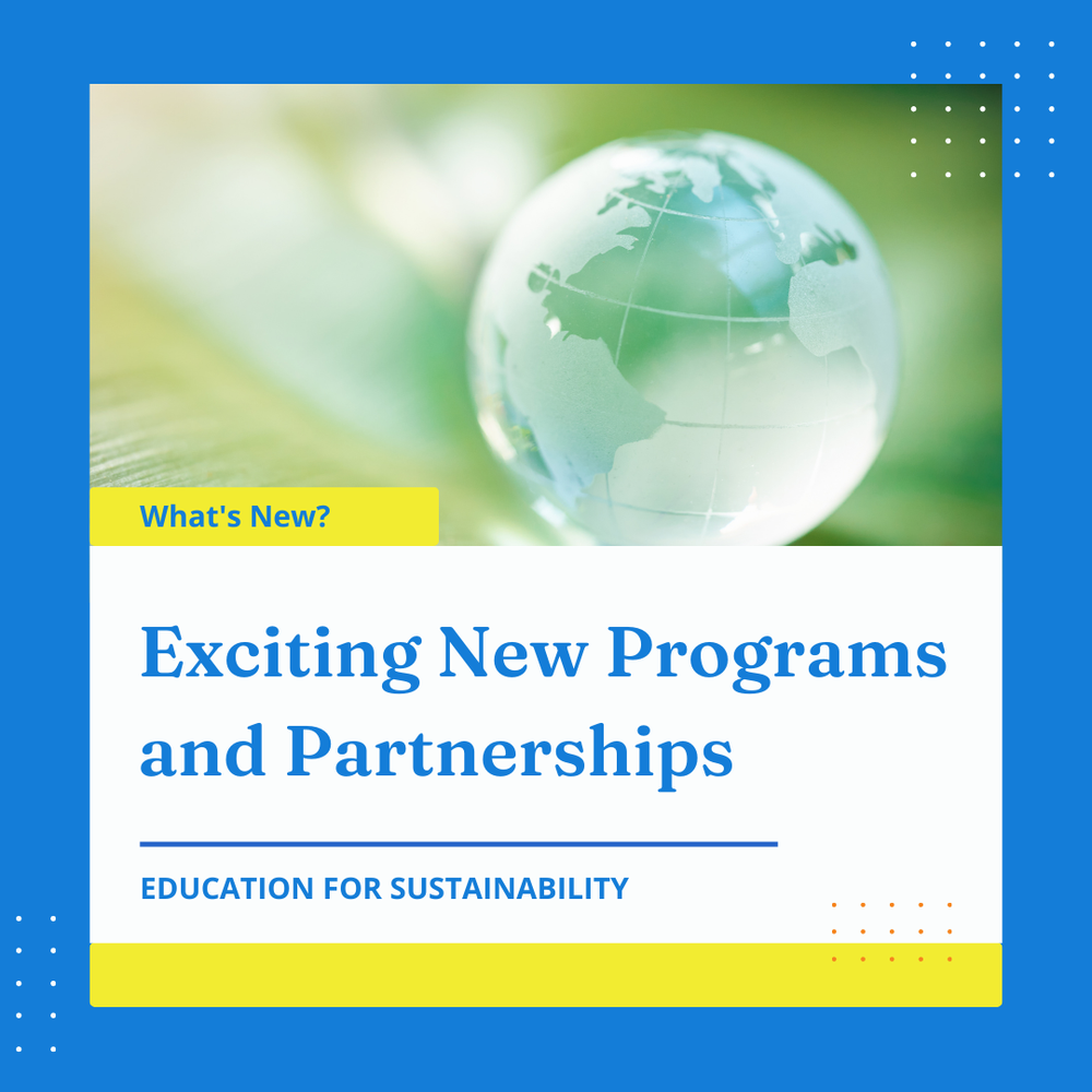 Blog — The Cloud Institute for Sustainability Education