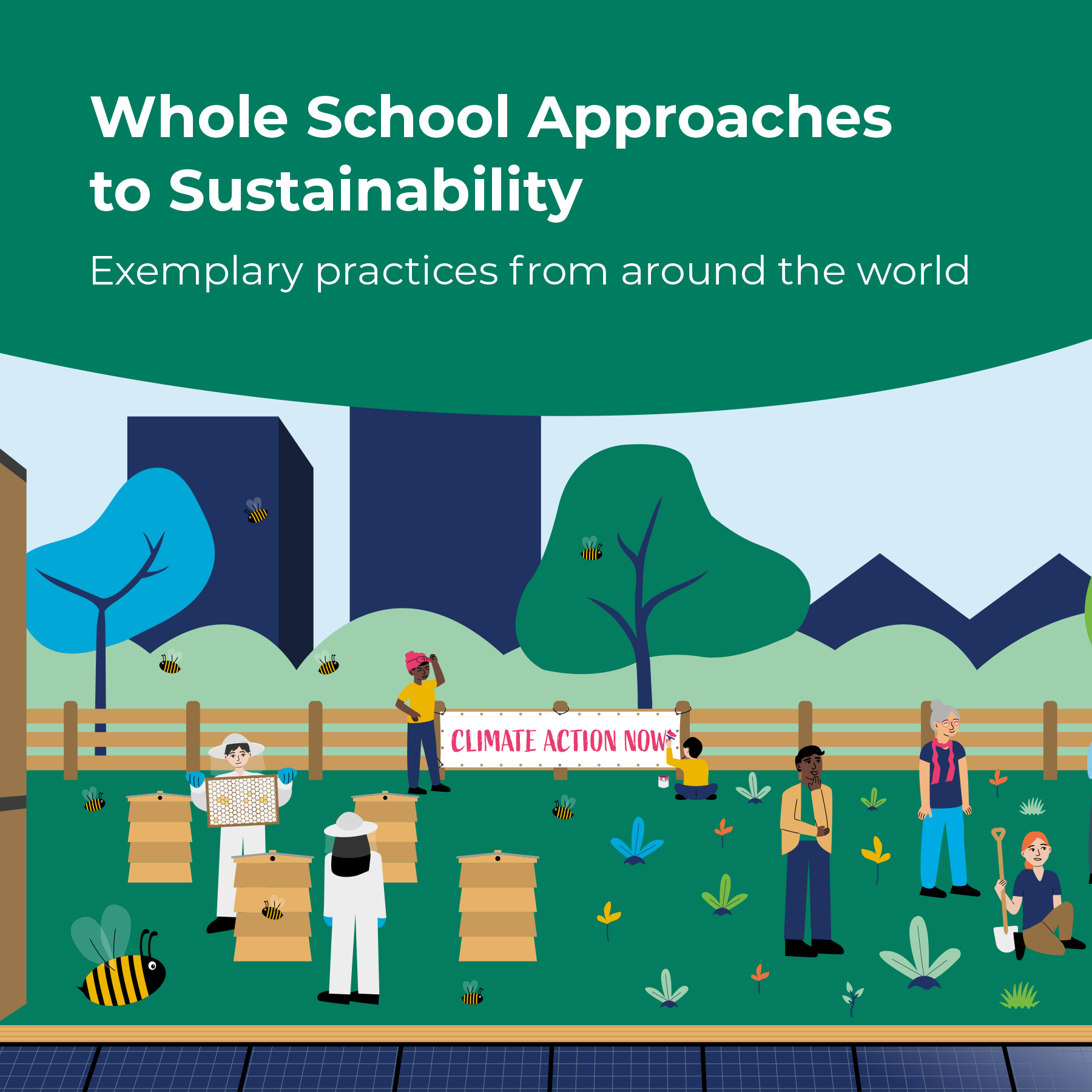 Whole School Approaches to Sustainable Development — The Cloud ...