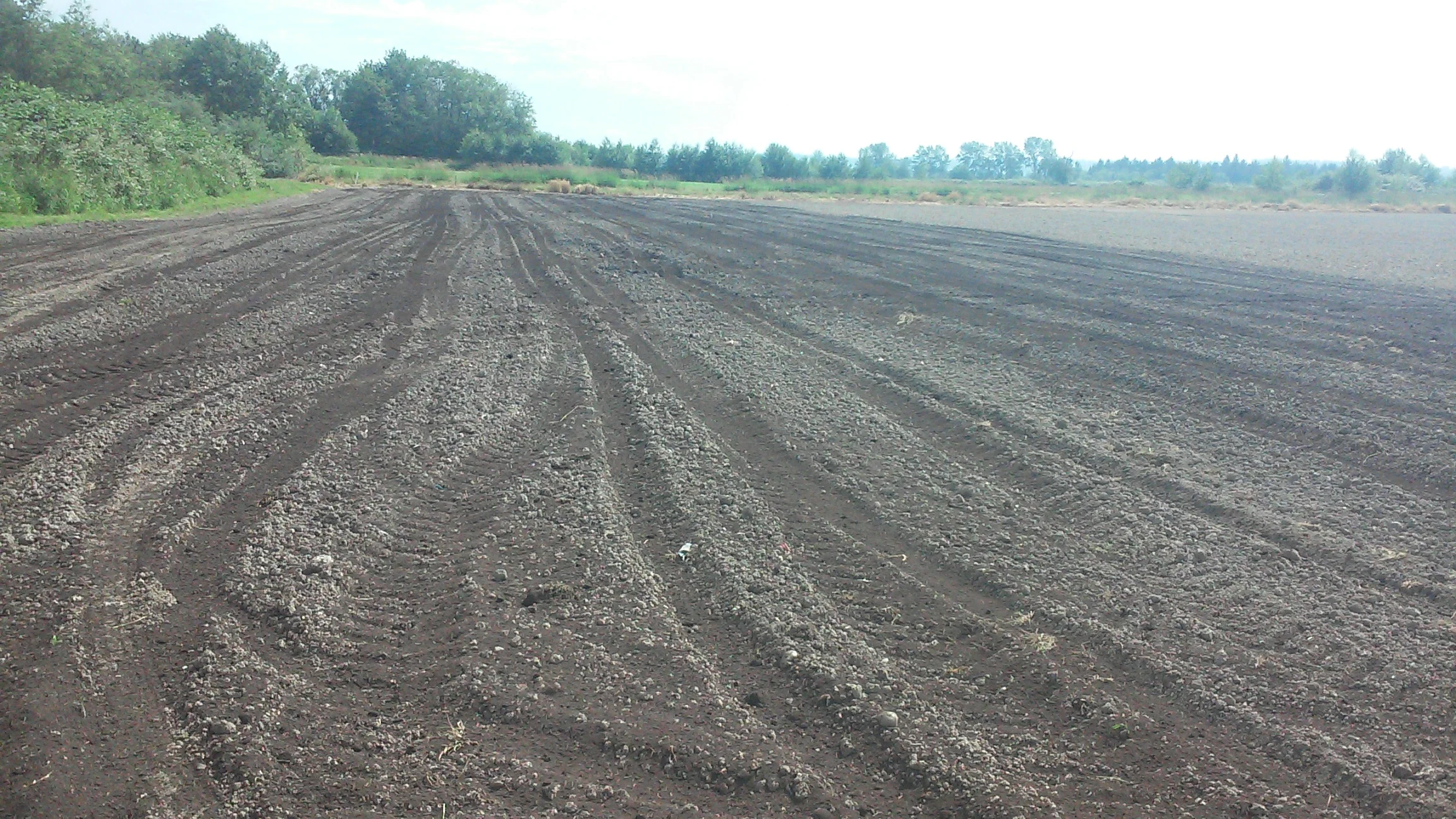 Partners — Sound Sustainable Farms