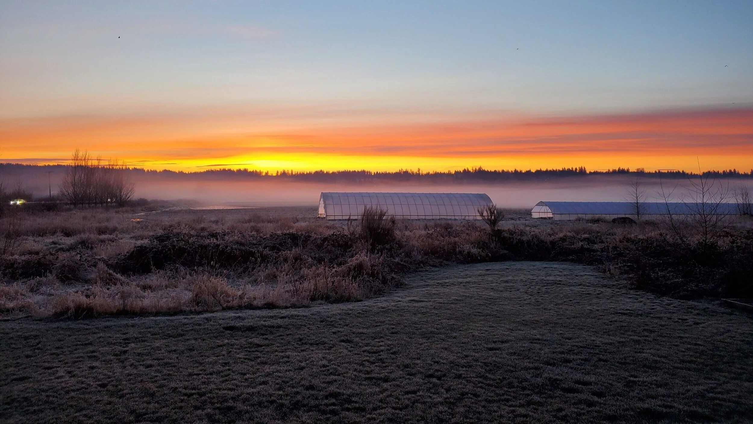 Sound Sustainable Farms