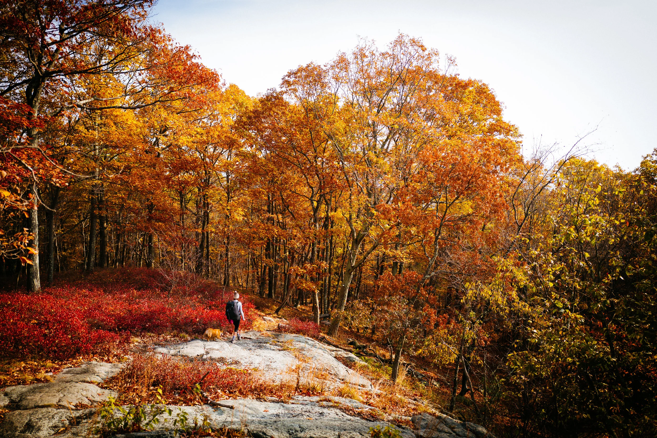 Bear Mountain, without the racing — To Be Determined Journal