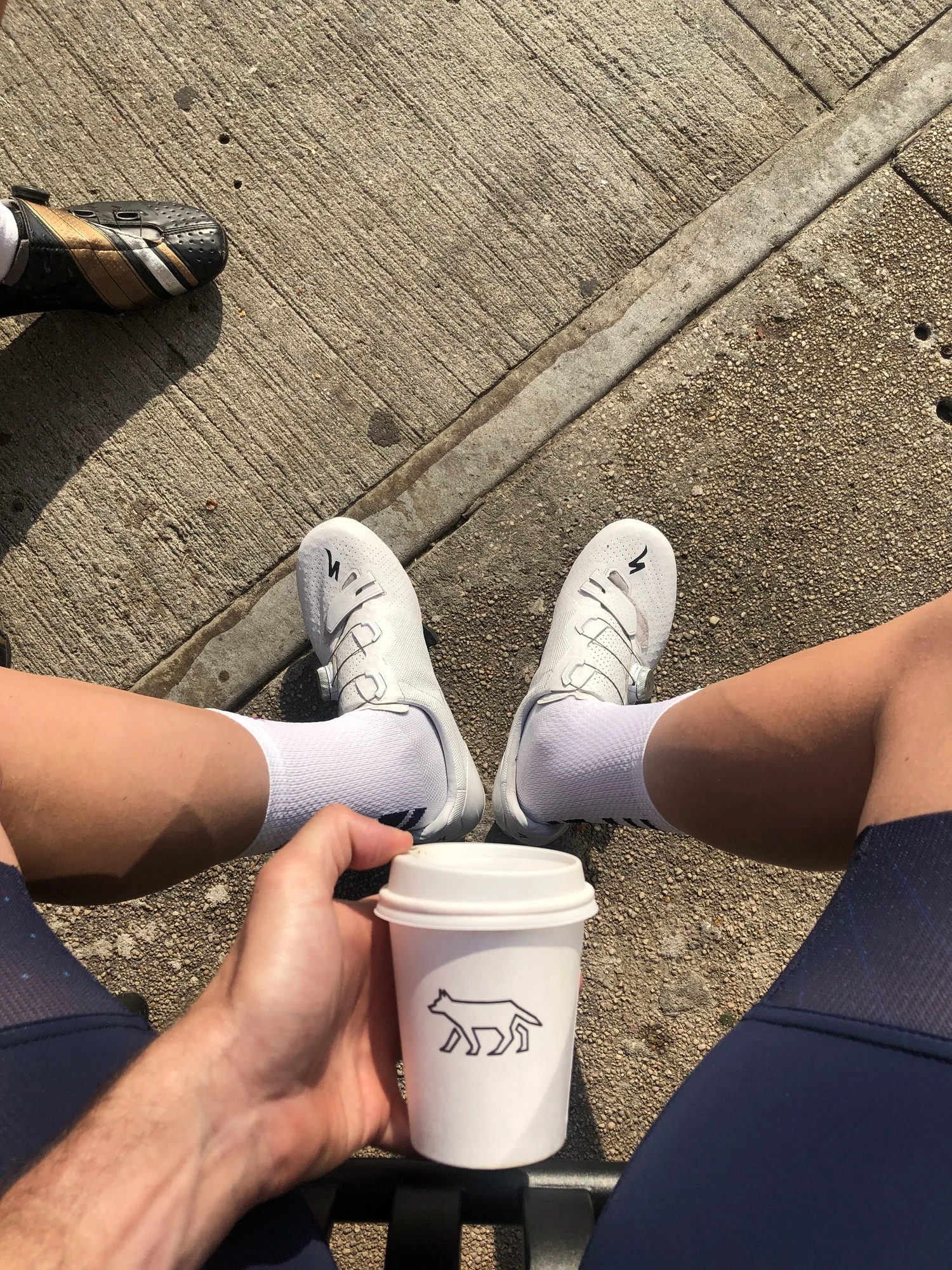 How to Keep Your White Cycling Shoes White (Updated) — To Be Determined ...