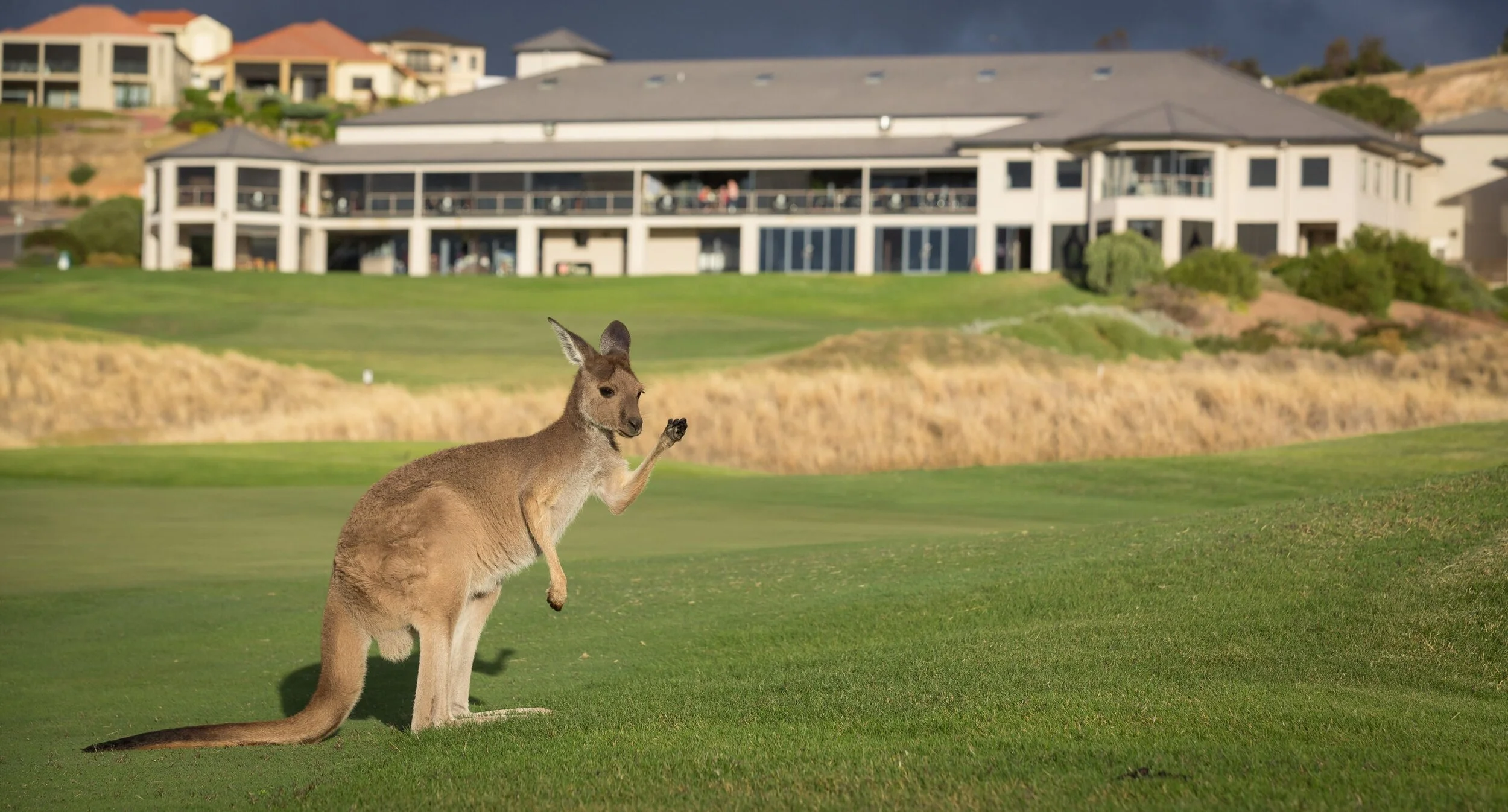 Contact Lady Bay Hotel — Lady Bay Resort
