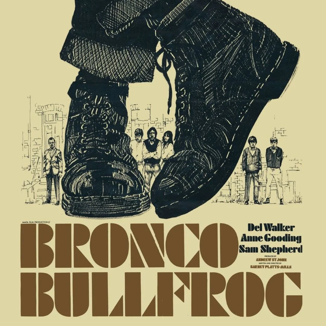 Bronco Bullfrog & MOD Dance Party — Race Brook Lodge