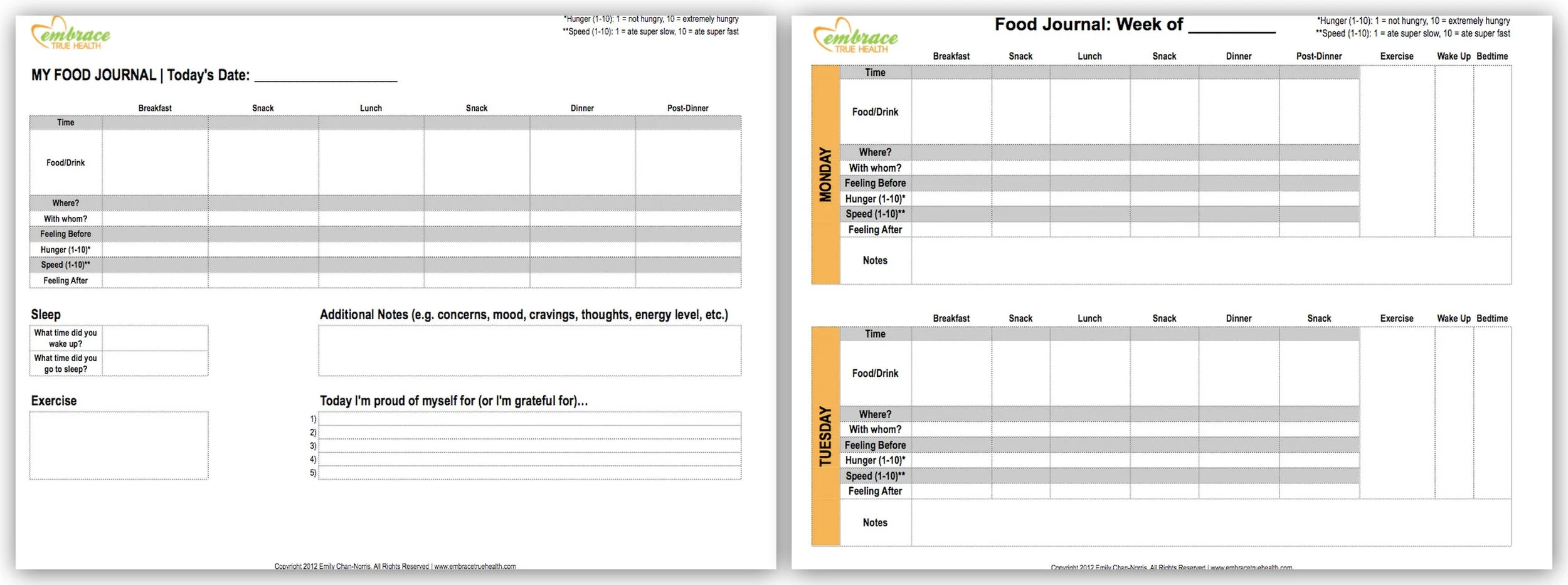 Excel Food Diary Template
