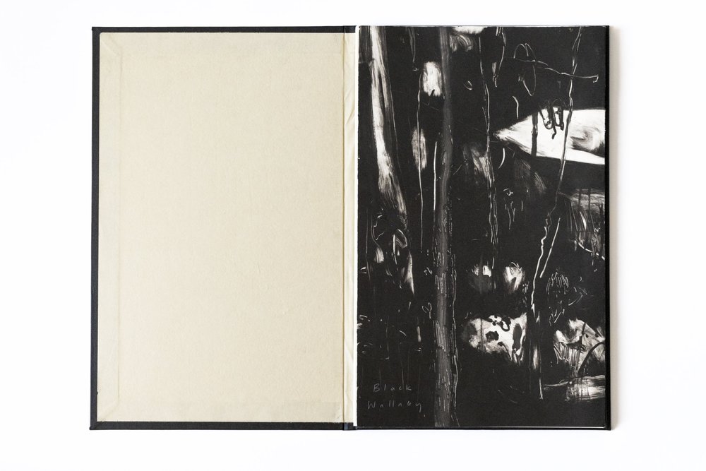 5 Press — Sarah McConnell