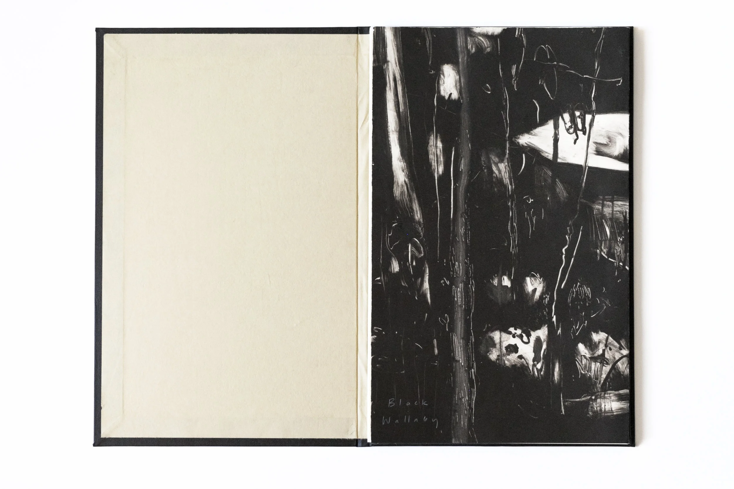 5 Press — Sarah McConnell