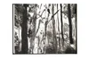5 Press — Sarah McConnell