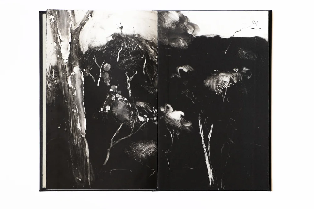 5 Press — Sarah McConnell