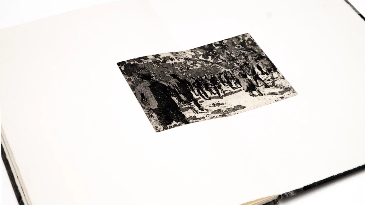 5 Press — Sarah McConnell