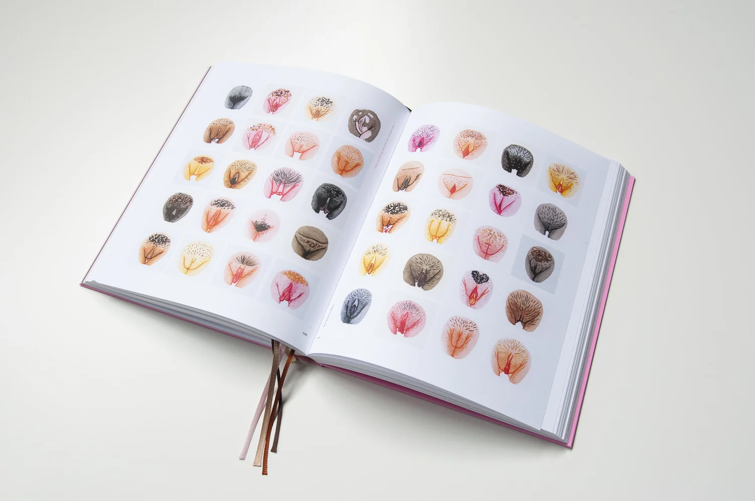 The Book — The Vulva Gallery