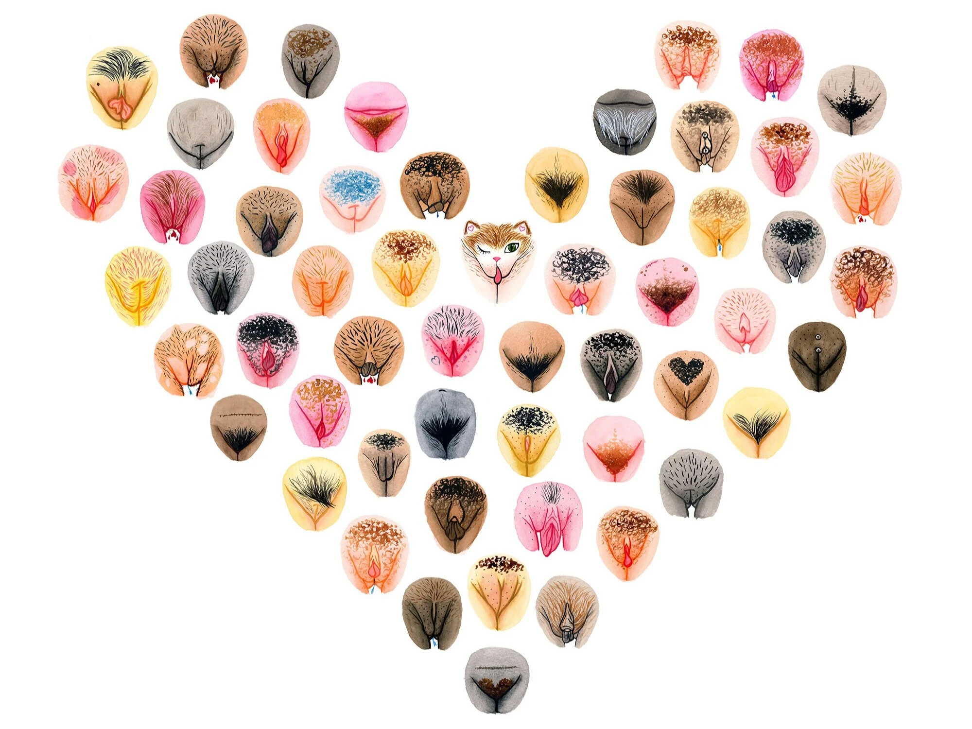 The Vulva Gallery
