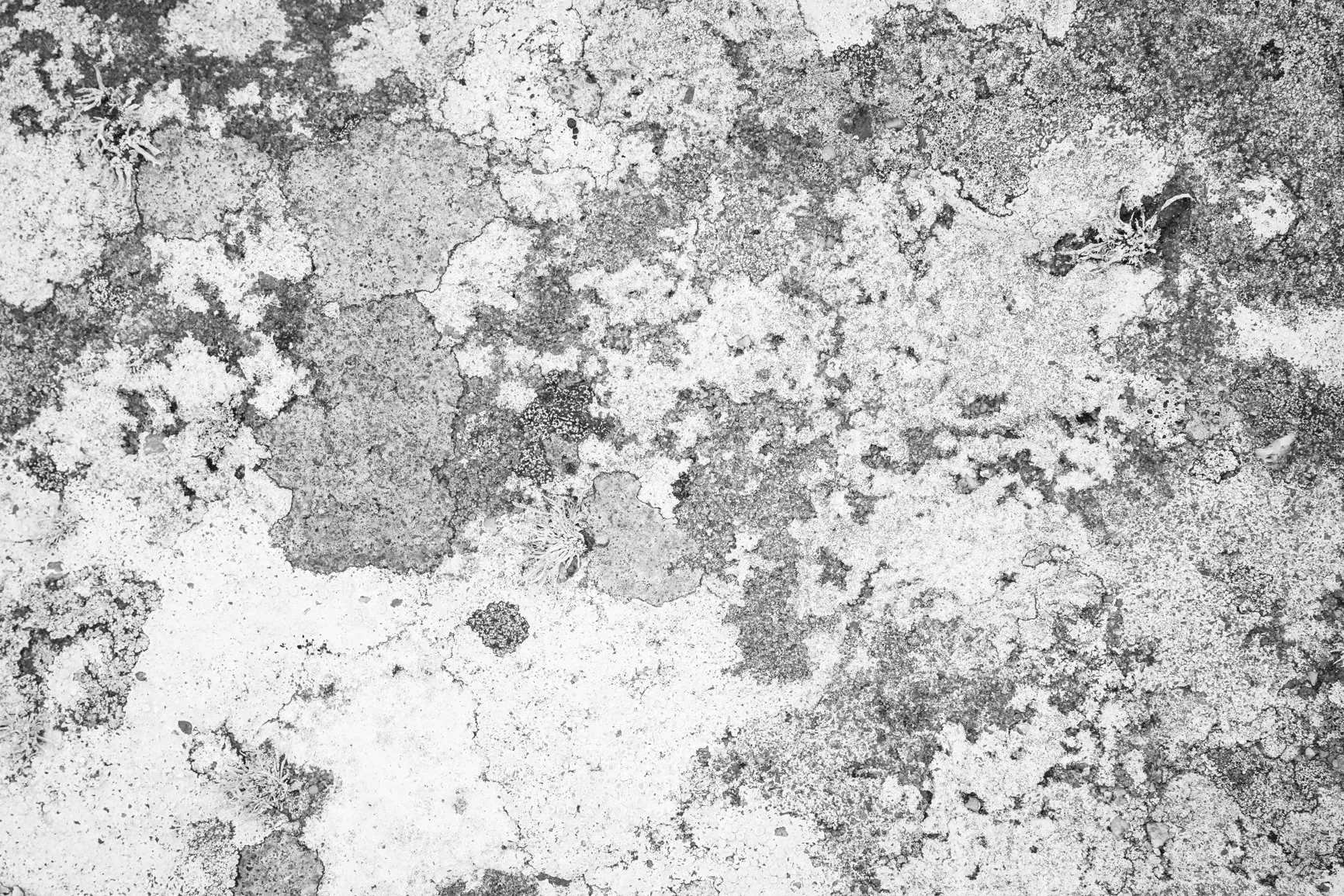 Irish Textures — Thomas Greenaway