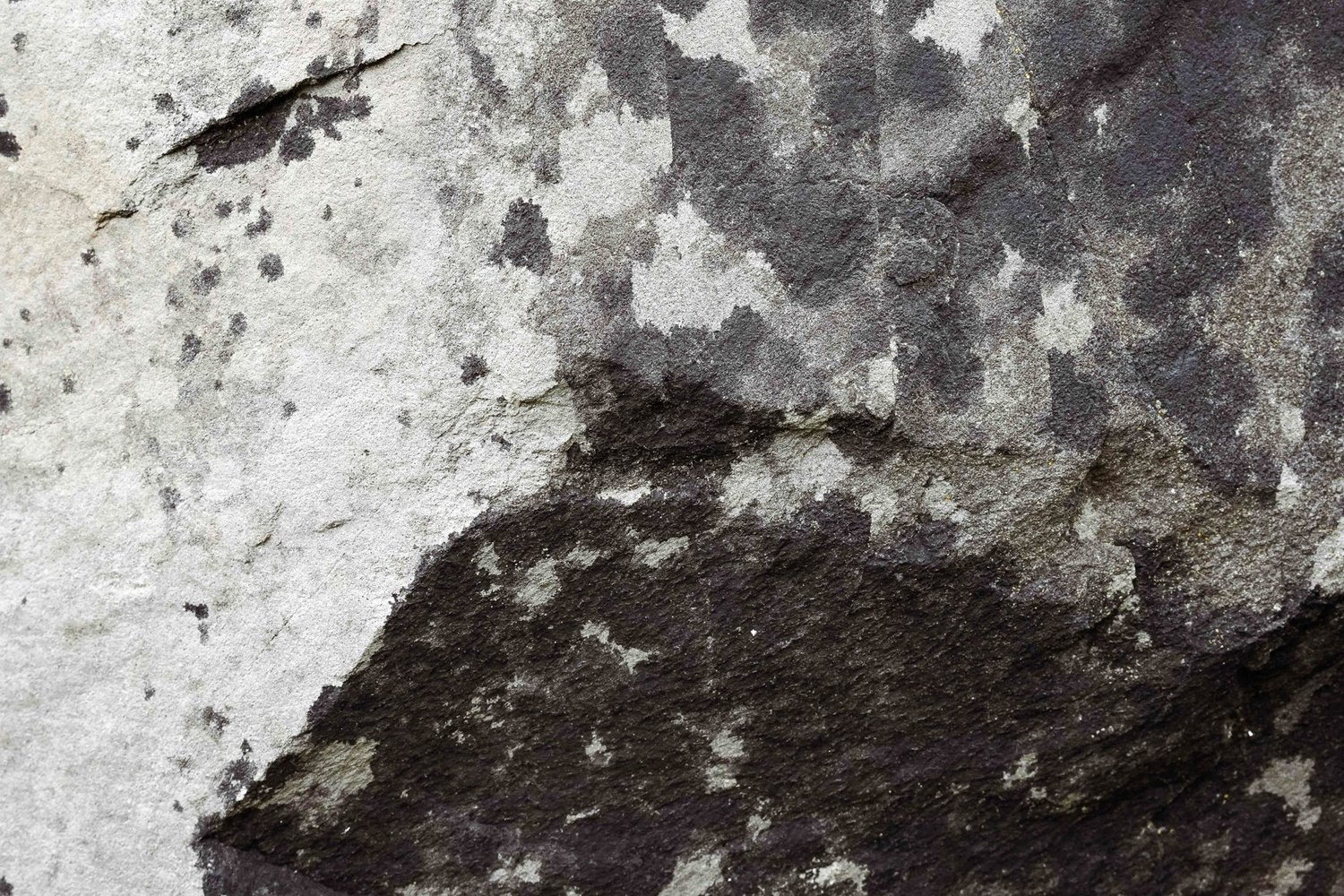 Irish Textures — Thomas Greenaway