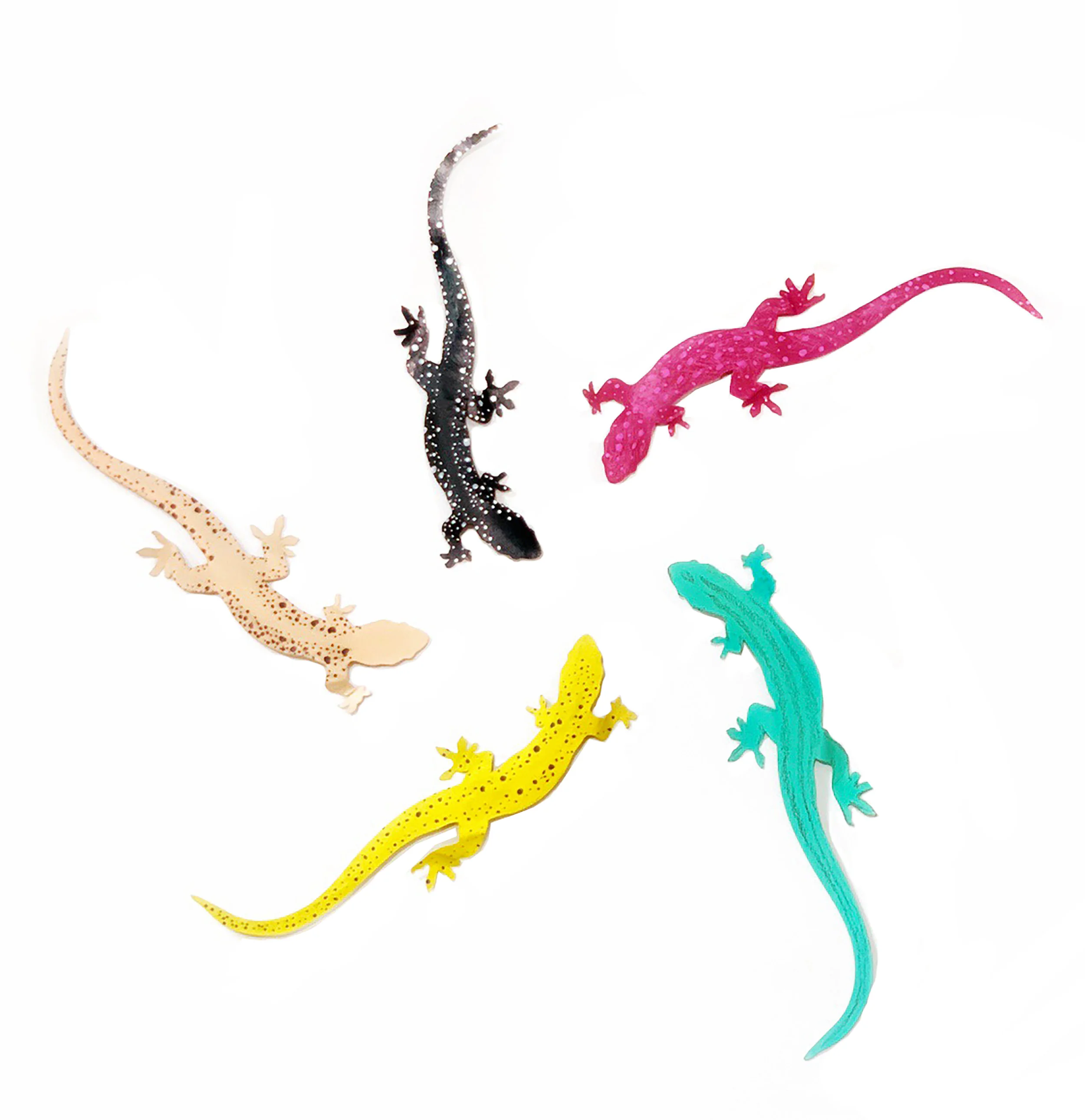 Life Cycle Of A Lizard For Kids