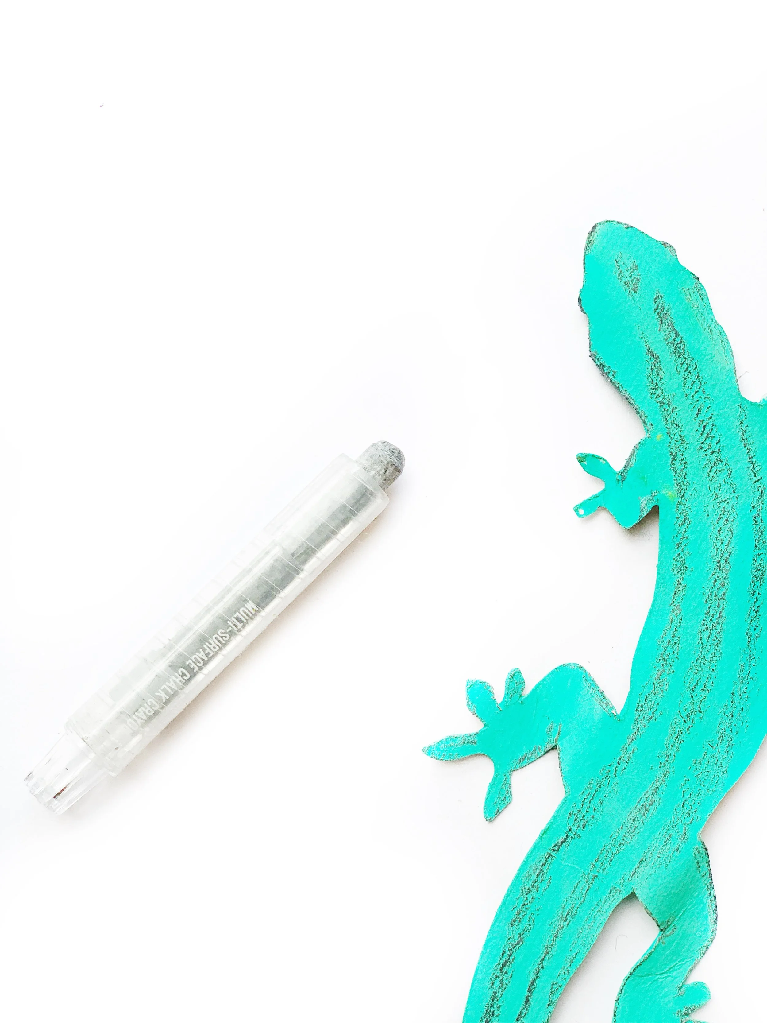Lizard Art Projects