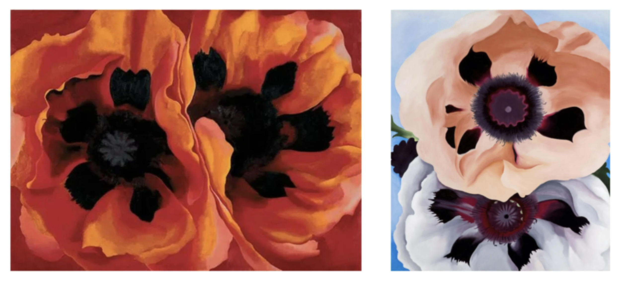 Georgia O'Keeffe inspired Giant Flower Art Project for Kids — ART CAMP