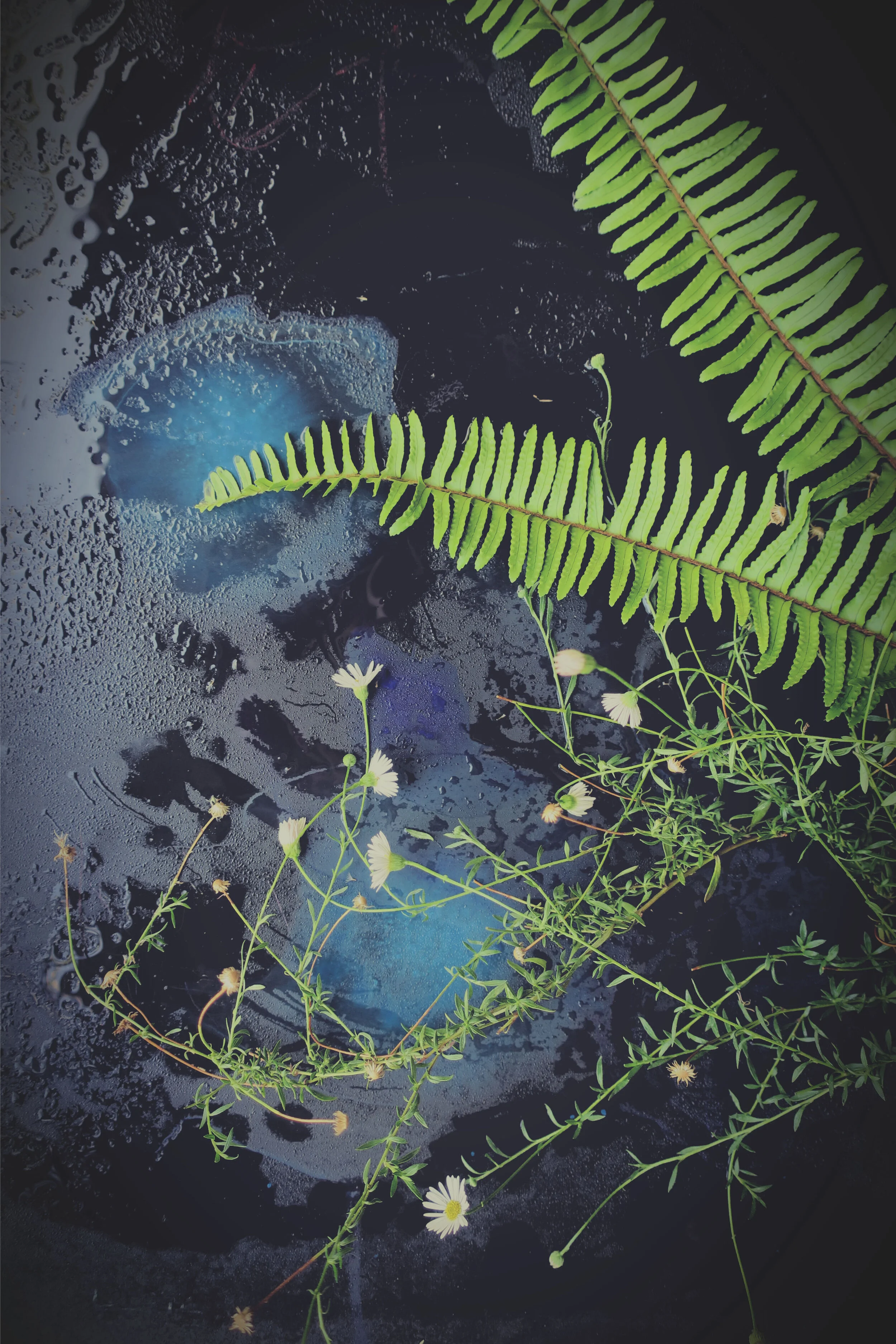 Welcome to Copper and Ash Studio-Copper & Ash Studio