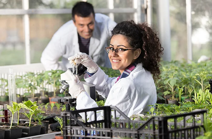 CAREERS — Cann Group Limited - Medicinal Cannabis research in Australia