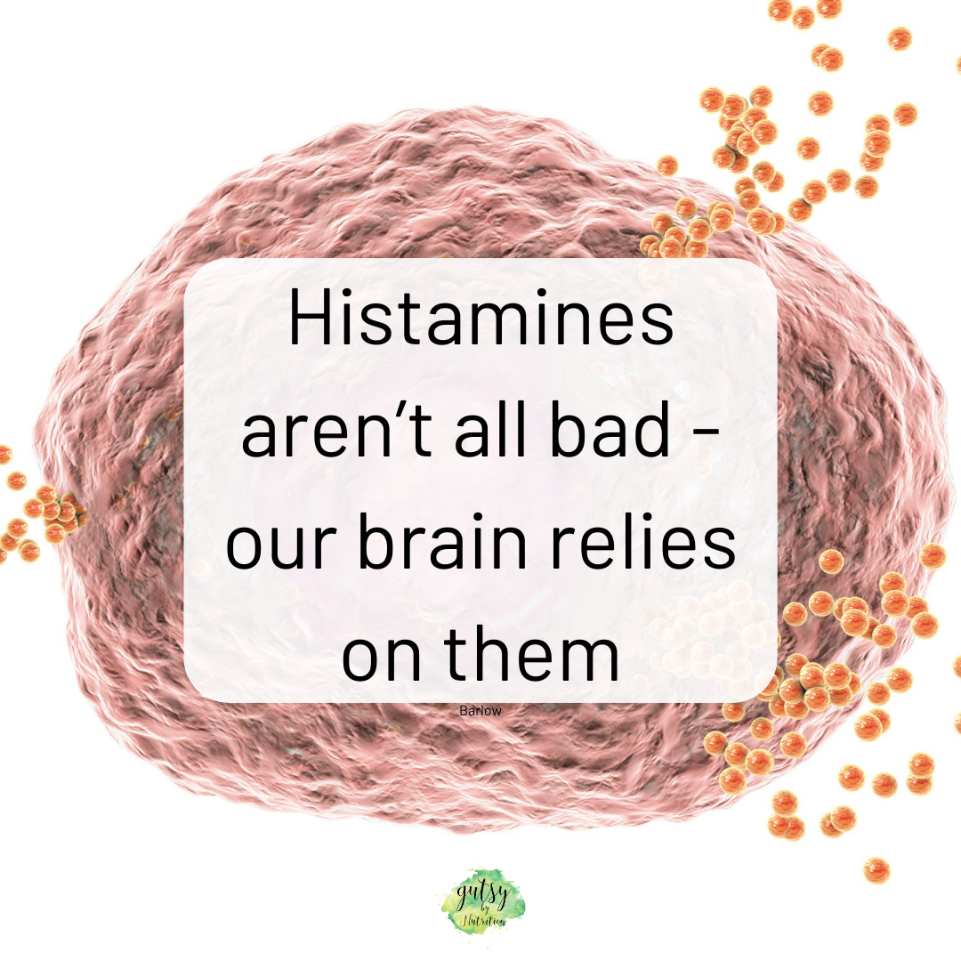 Our brain relies on histamines — Gutsy By Nutrition | Health & Wellness