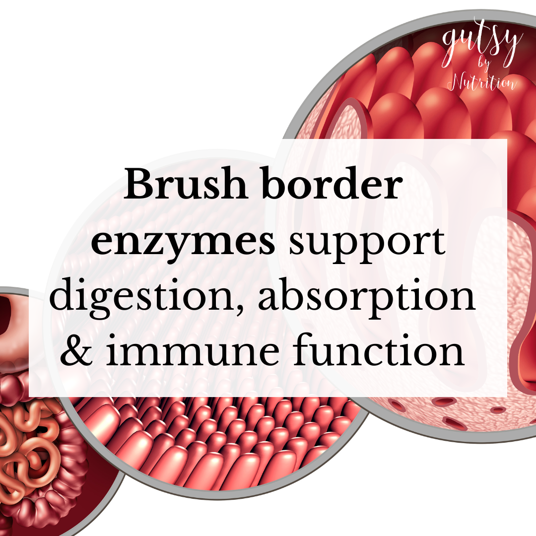 Brush border enzymes support digestion, absorption & immunity — Gutsy ...