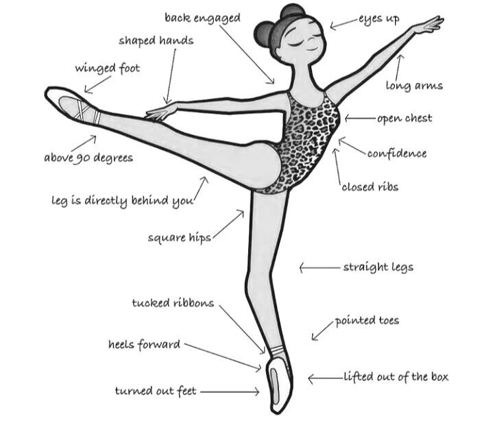 9 Basic Ballet Terms Benefits Ballet Body Sculpture