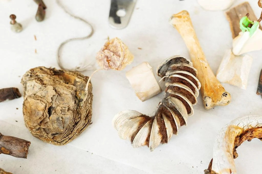 RESIDENT SPOTLIGHT: JUAN-MANUEL PINZON — Stove Works