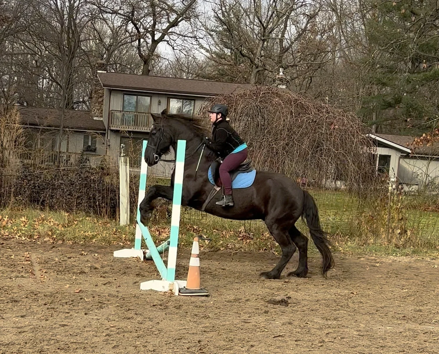 Public Talks — Tamara Kay, PhD
