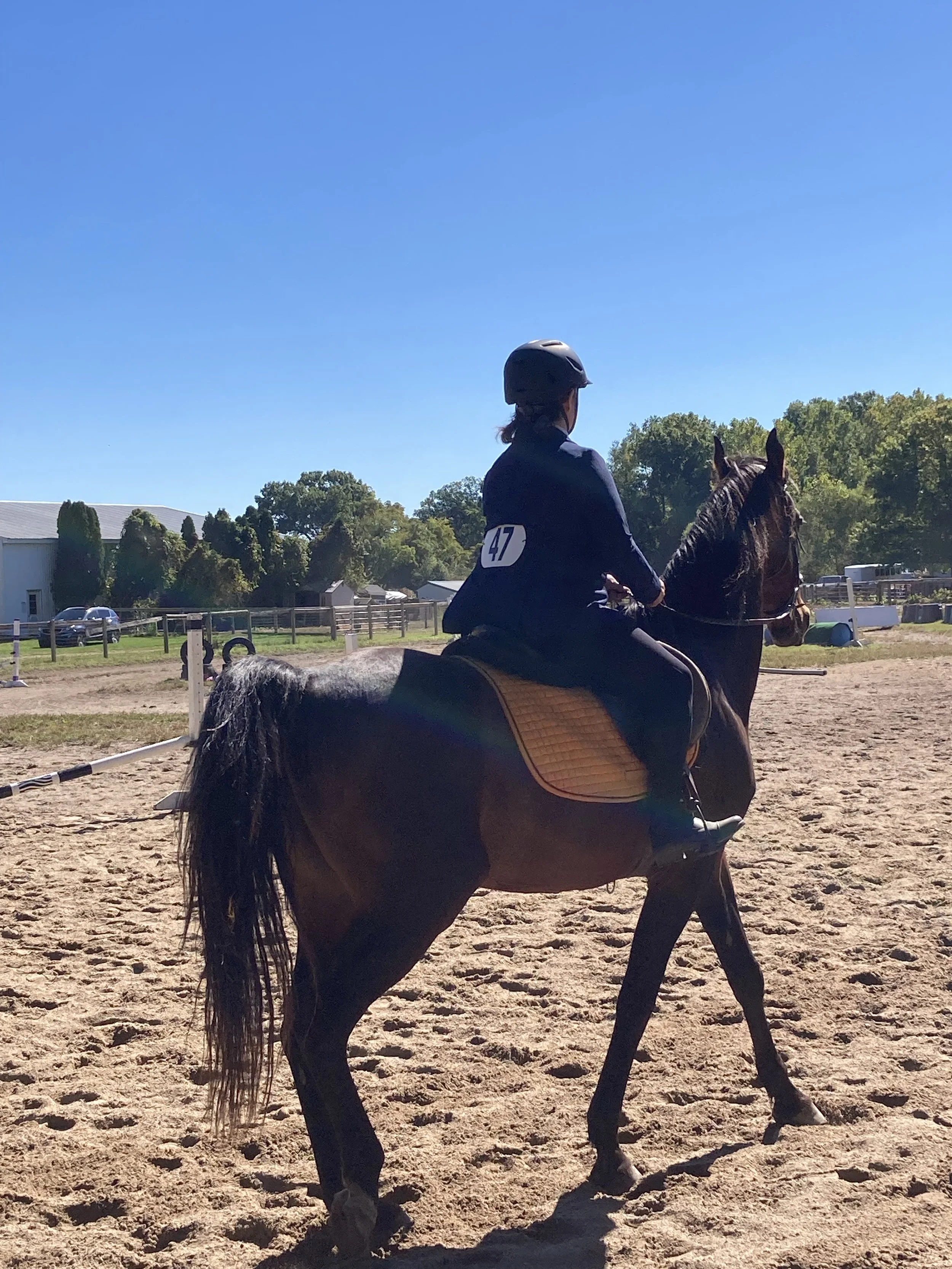 Policy Advising — Tamara Kay, PhD