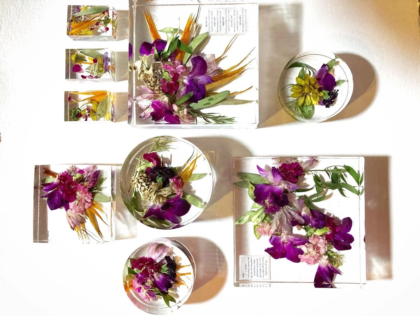 GardenView Flowers—Toledo Area Wedding Flowers, U-Pick Flower Garden ...