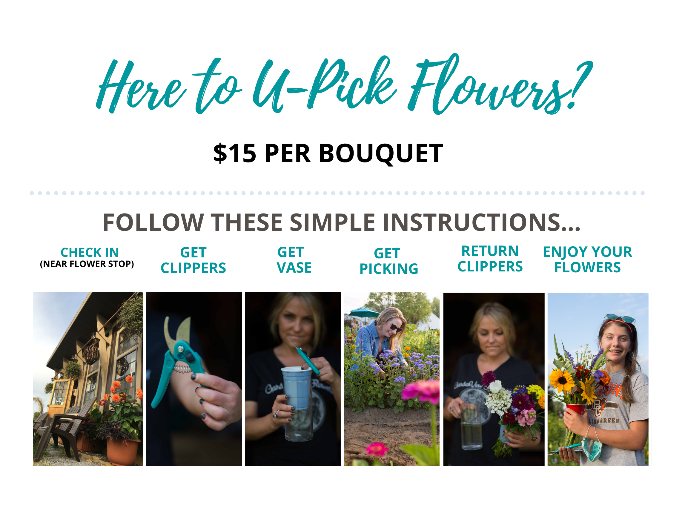 GardenView Flowers—Toledo Area Wedding Flowers, U-Pick Flower Garden ...