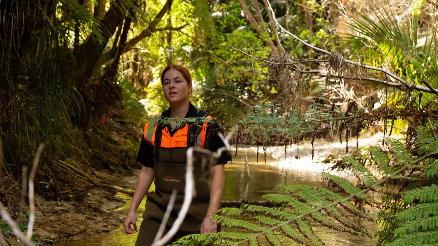 Careers — Morphum Environmental