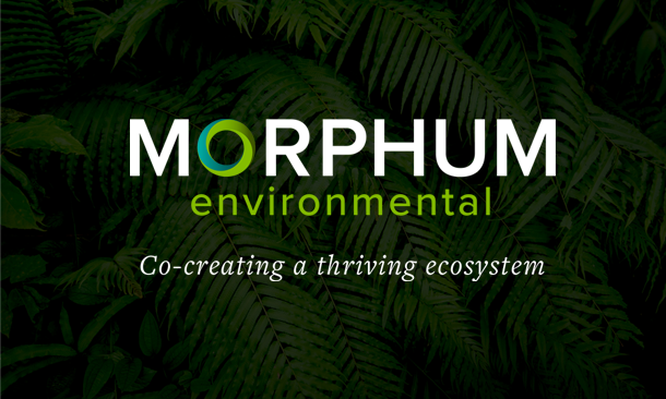 Blog — Morphum Environmental