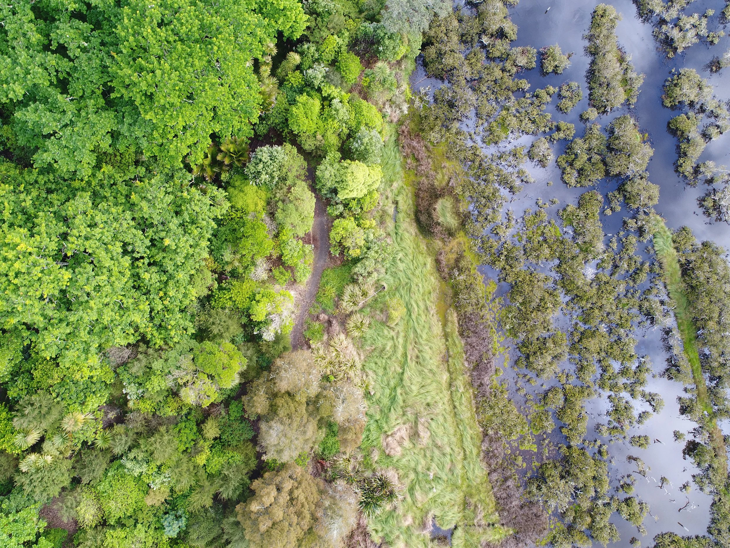 About Us — Morphum Environmental