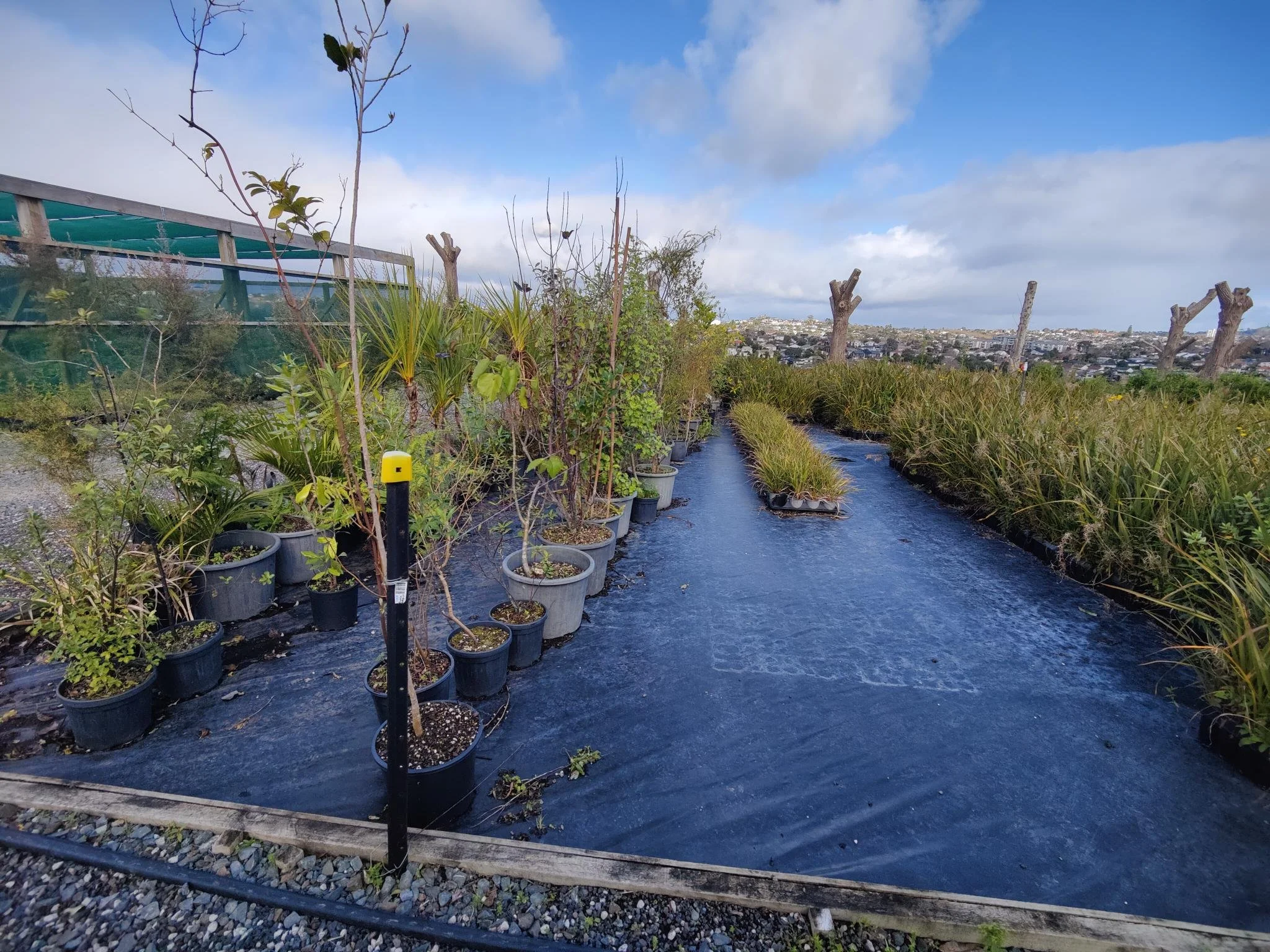 Morphum Environmental NZ | Engineering Consultants & Management