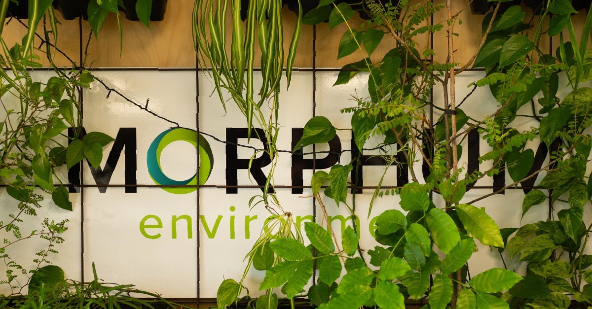 Careers — Morphum Environmental