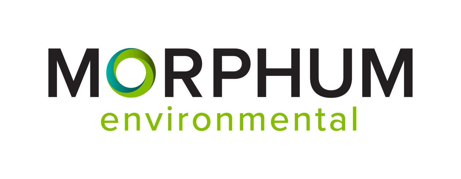 About Us — Morphum Environmental