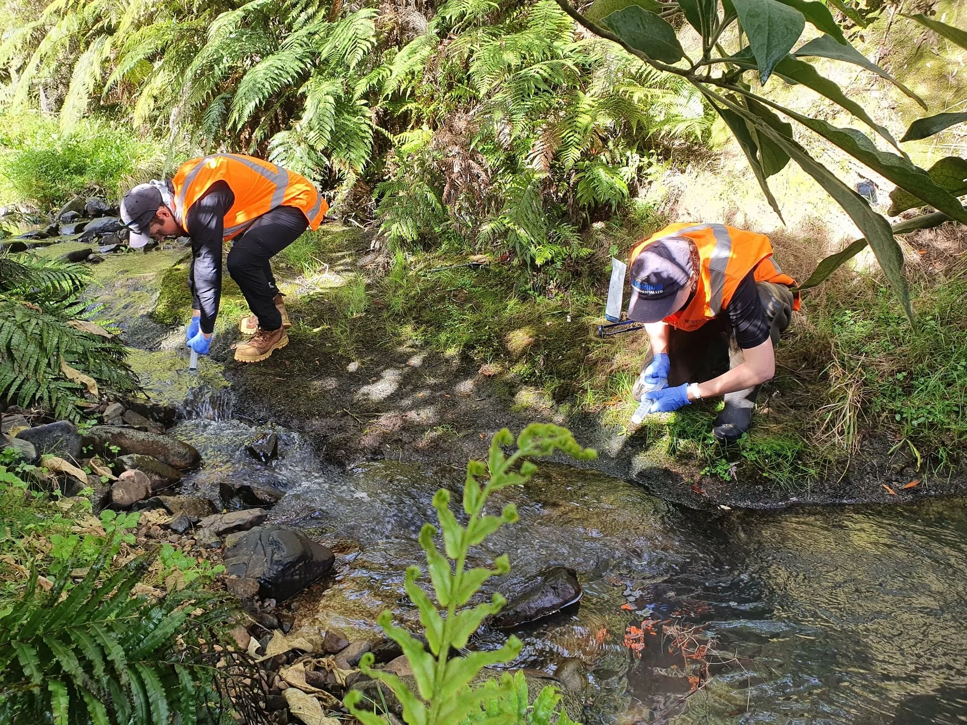 The power of eDNA — Morphum Environmental