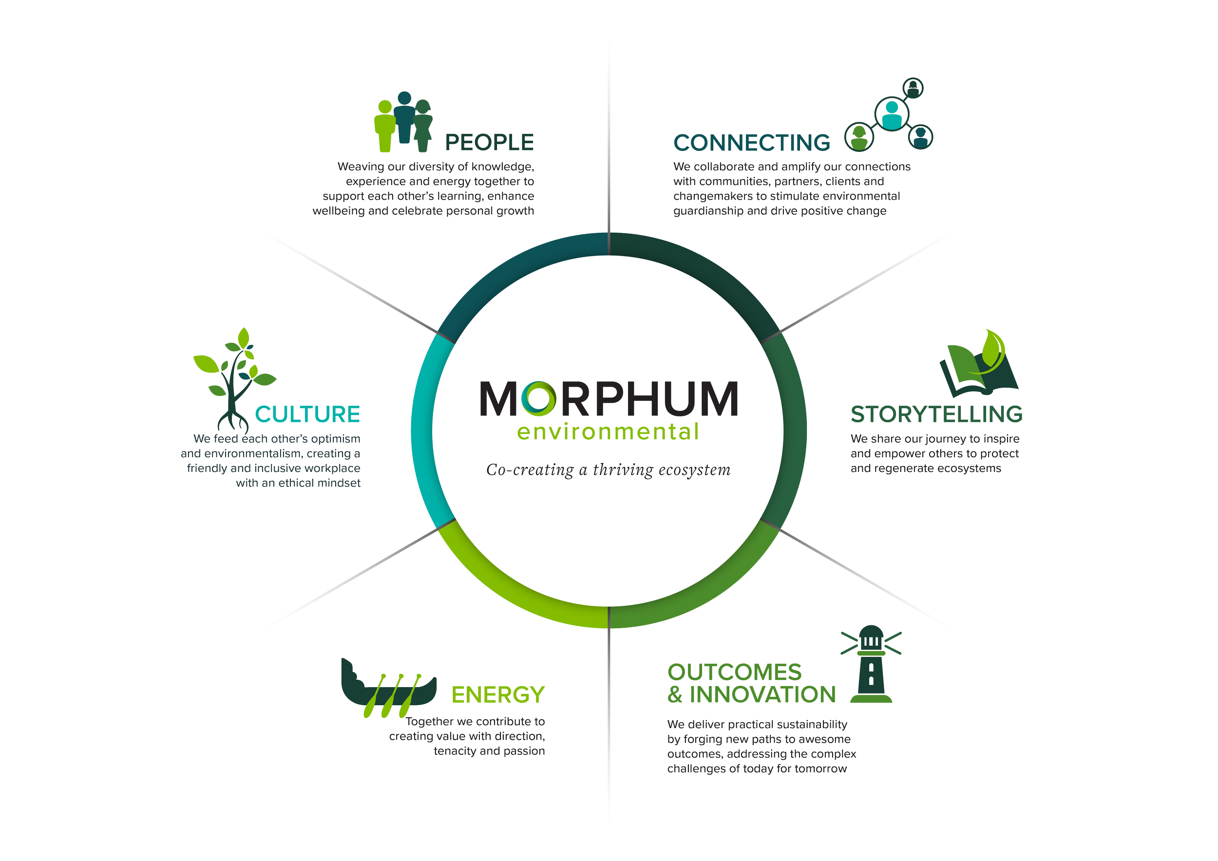 About Us — Morphum Environmental