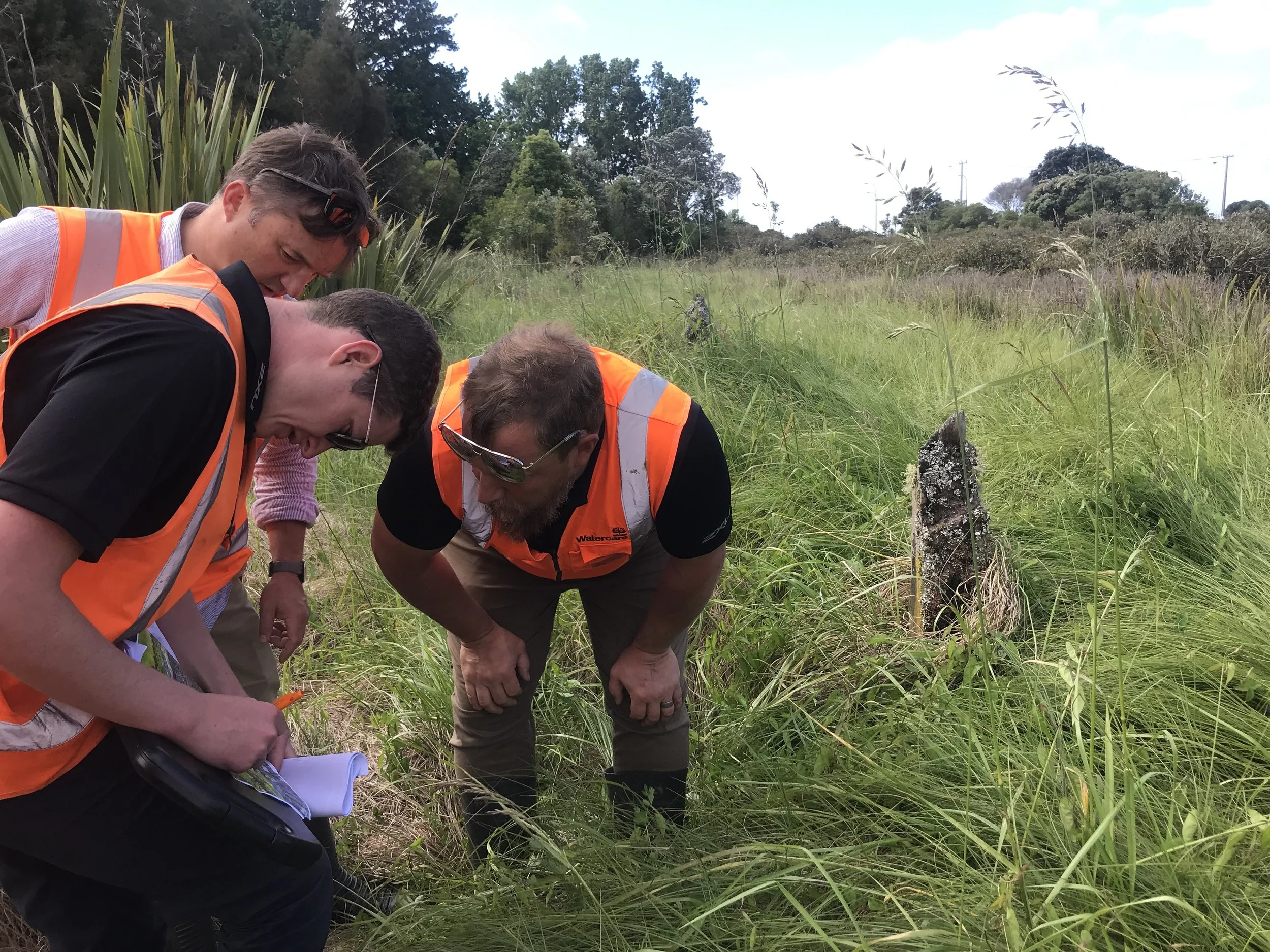 About Us — Morphum Environmental