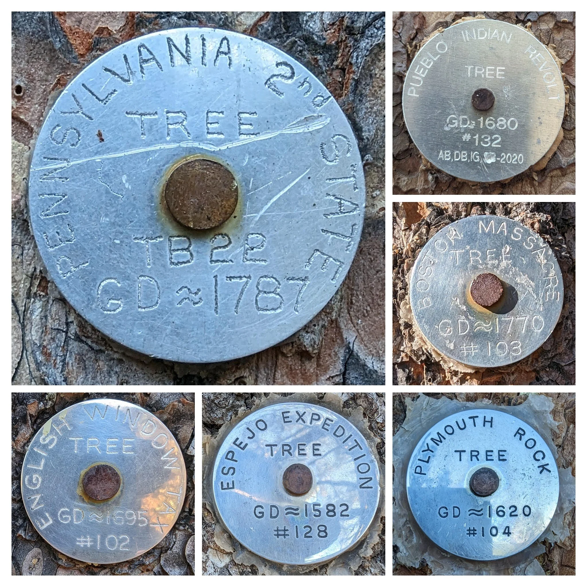 New Mexico Mountain Club (Since 1952)