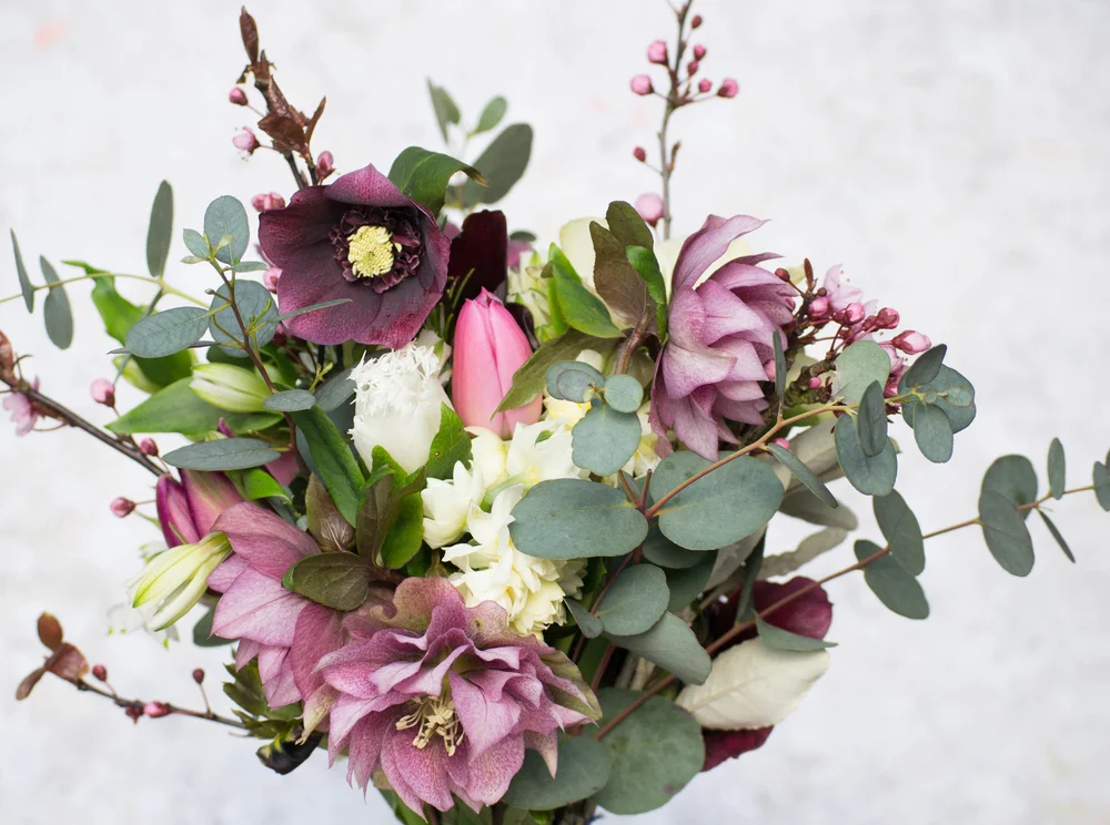 Getting the best from your Hellebores as cut flowers — The British ...