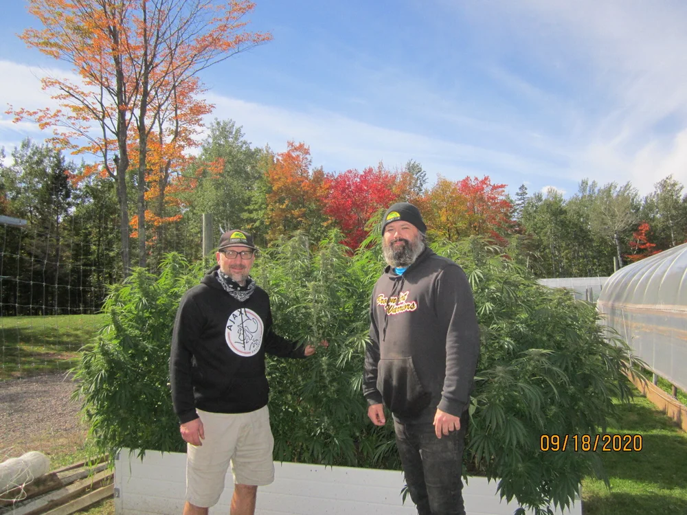 Grown on the Range Profile 35: Finnegan's Farm, originally published in ...