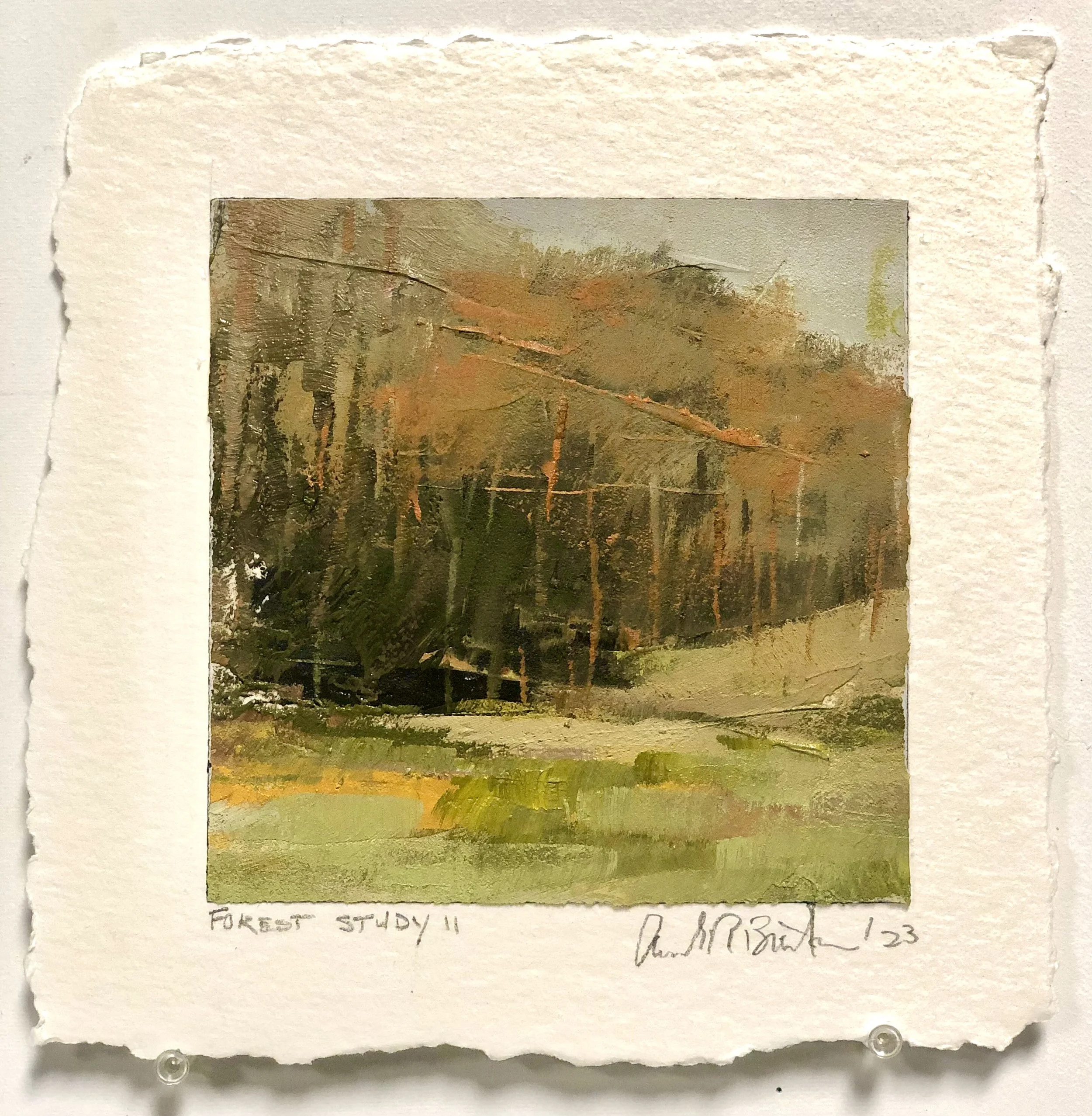 In Studio Workshops — Braitman Studio