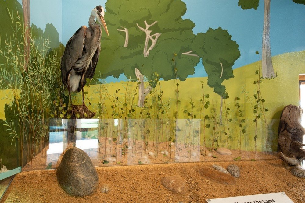 Colorado River Interpretive Center — Middle Colorado Watershed Council