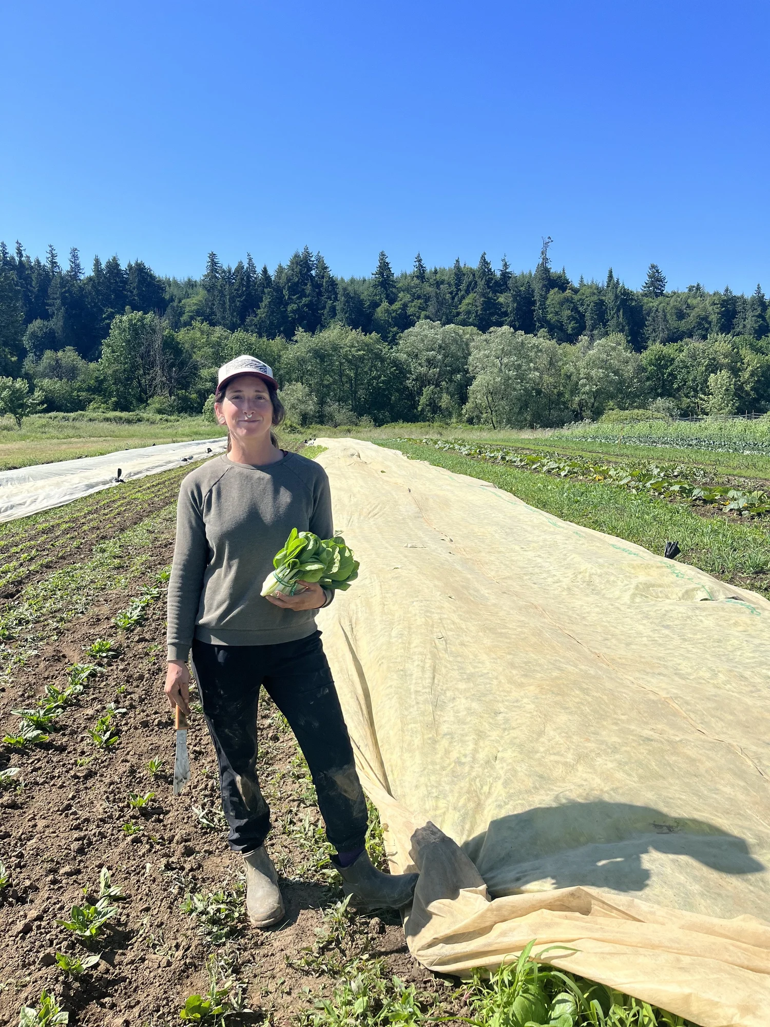 -Organic CSA - Exceptional Produce - Local Products