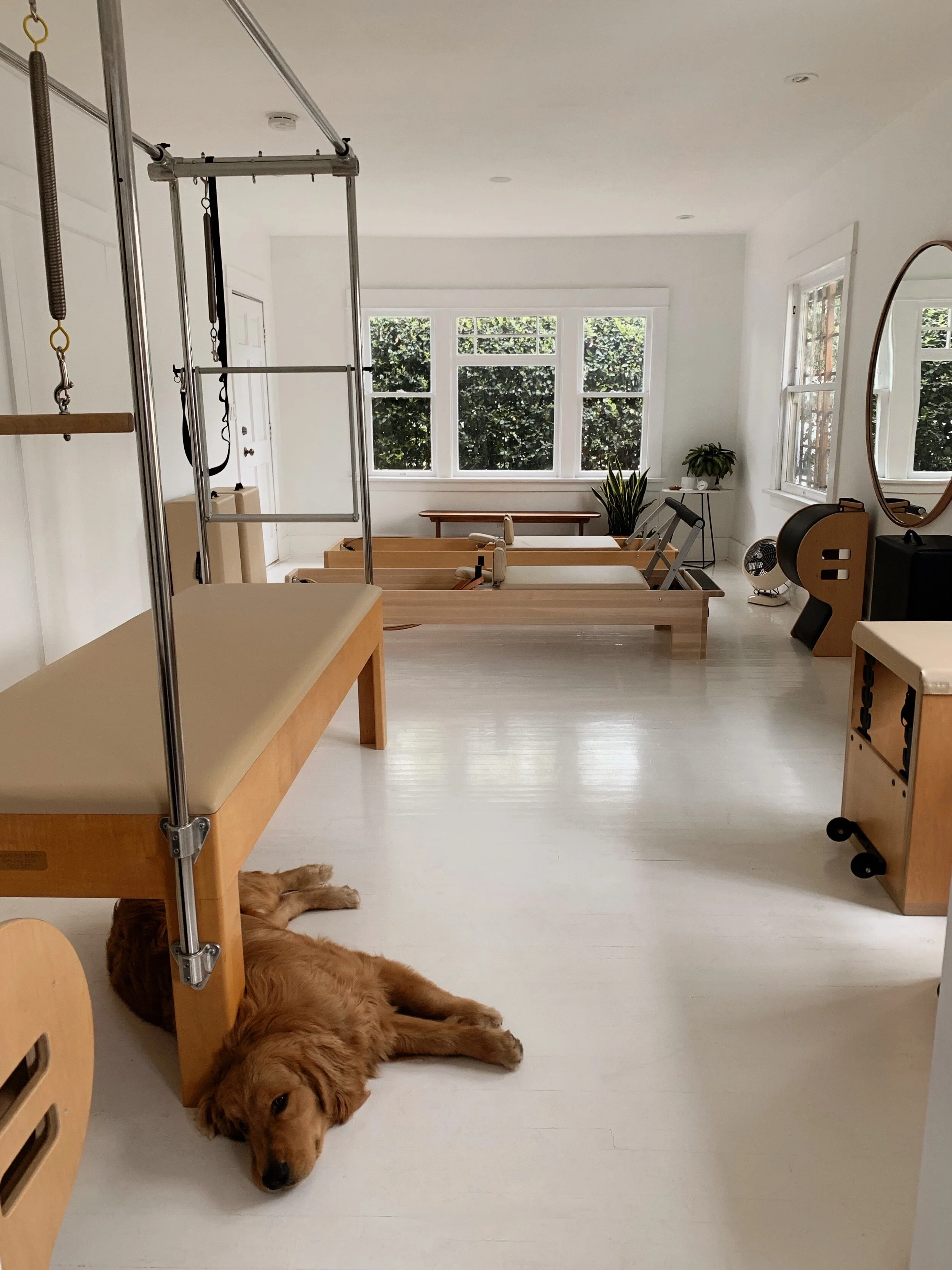 The work pilates studio