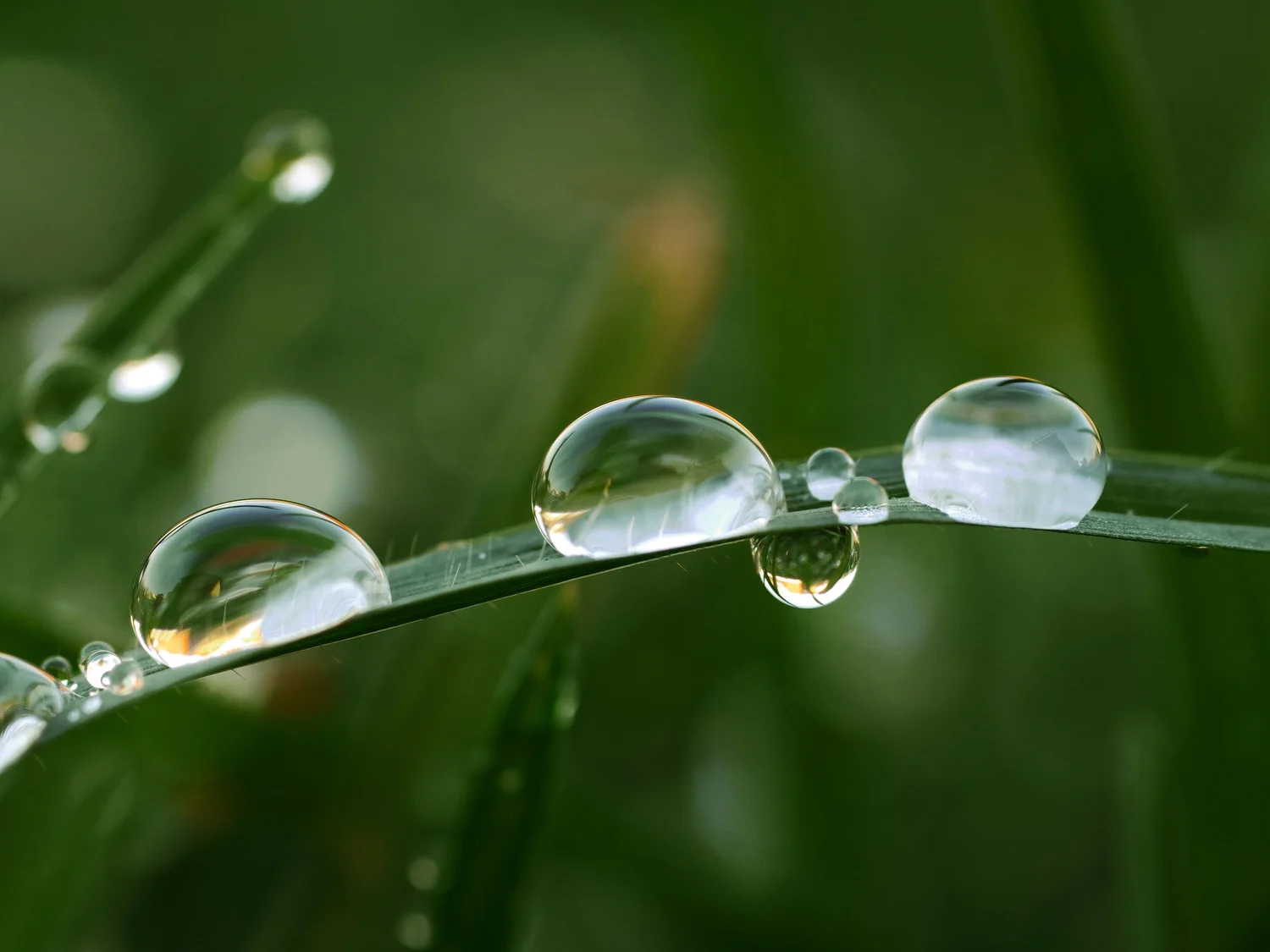 Water Reuse Practice Guide 1.0 — William J. Worthen Foundation