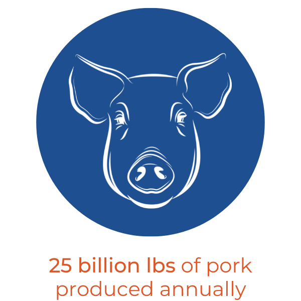 About Seaboard Triumph Foods — Seaboard Triumph Foods