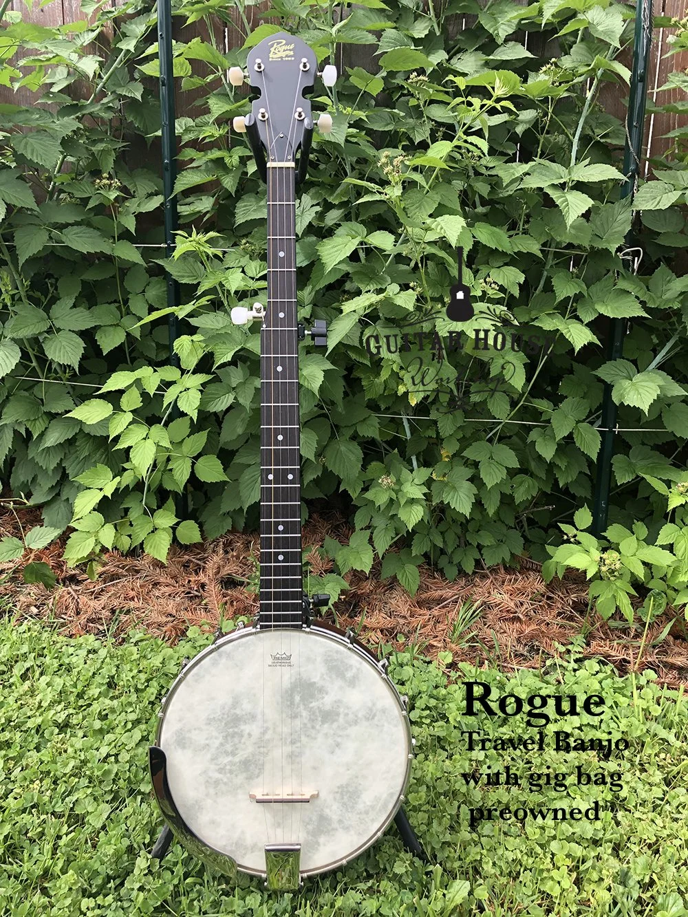 Banjos — Guitar House Workshop